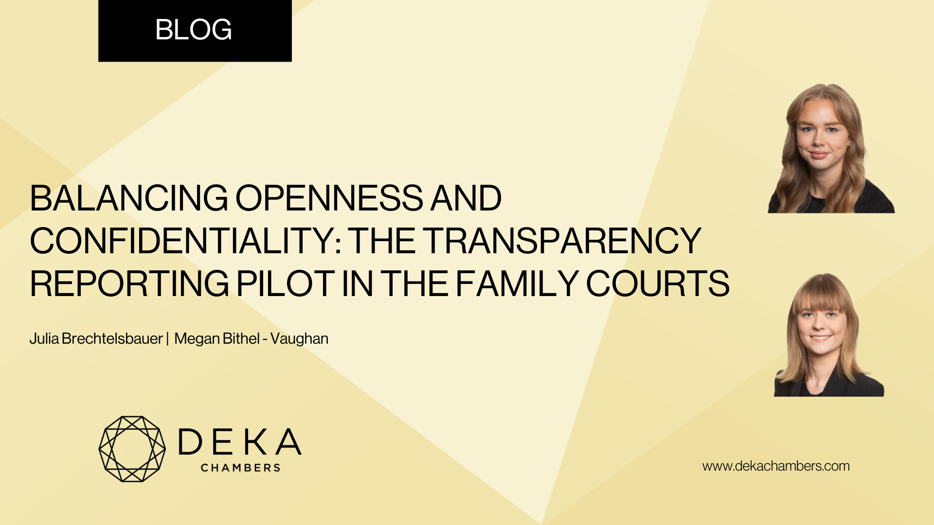Balancing Openness and Confidentiality: The Transparency Reporting ...